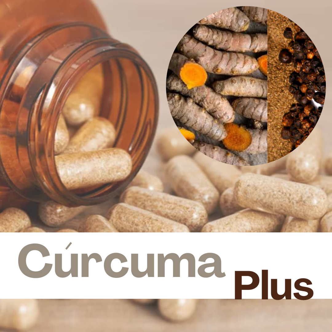 CÚRCUMA Plus – Farmacia Paracelsus
